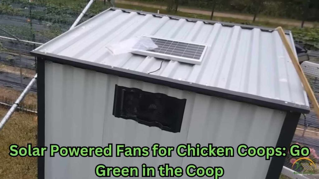 Solar Powered Fans for Chicken Coops: Go Green in the Coop Solar Powered Fans for Chicken Coops: Go Green in the Coop
